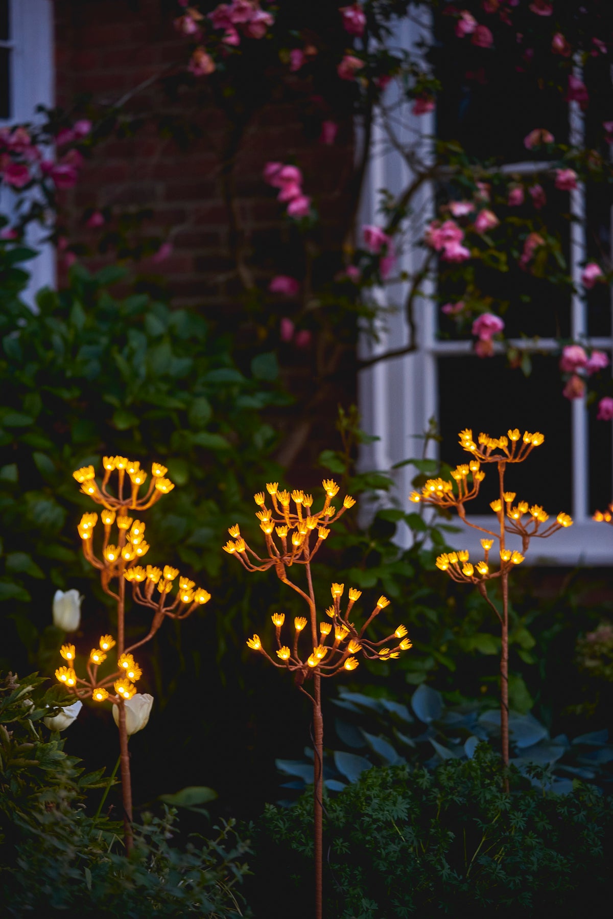 Sparkle Lighting ® | Stunning Sparkly Lights to Create a Special Space