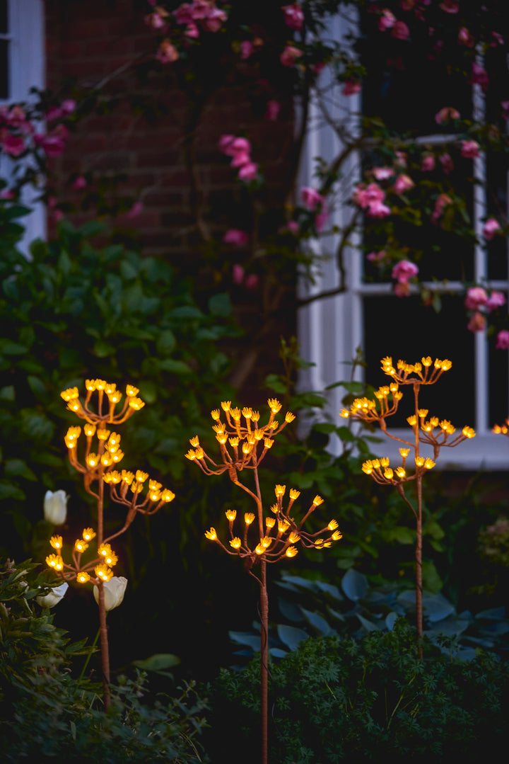 Sparkle Lighting ® | Stunning Sparkly Lights to Create a Special Space