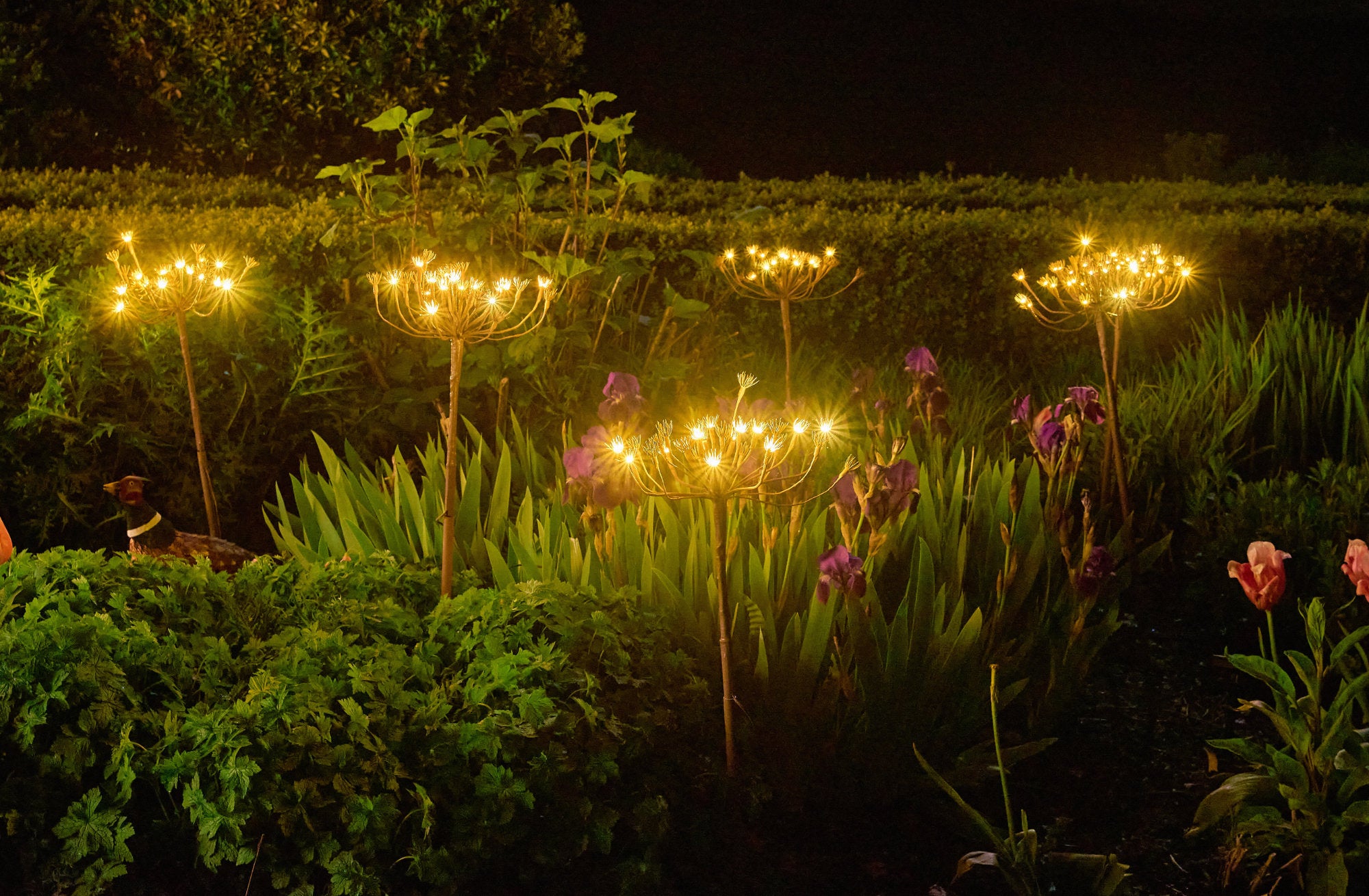 Sparkle Lighting ® | Pretty Sparkly Lights to Create a Special Space