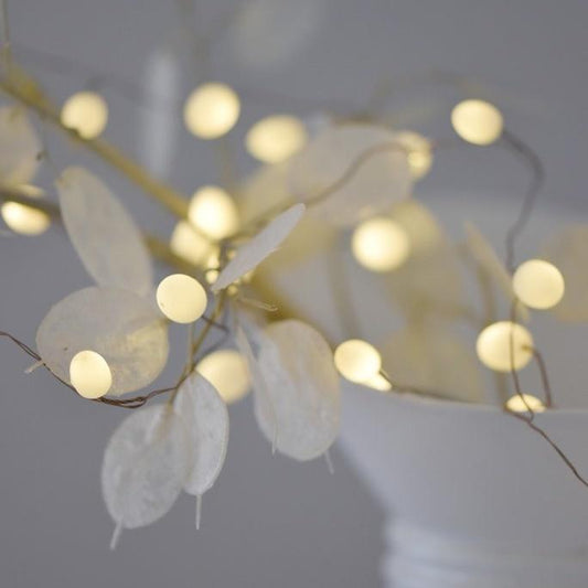 Teardrop White Fairy Lights | Elegant & Classic String Lights